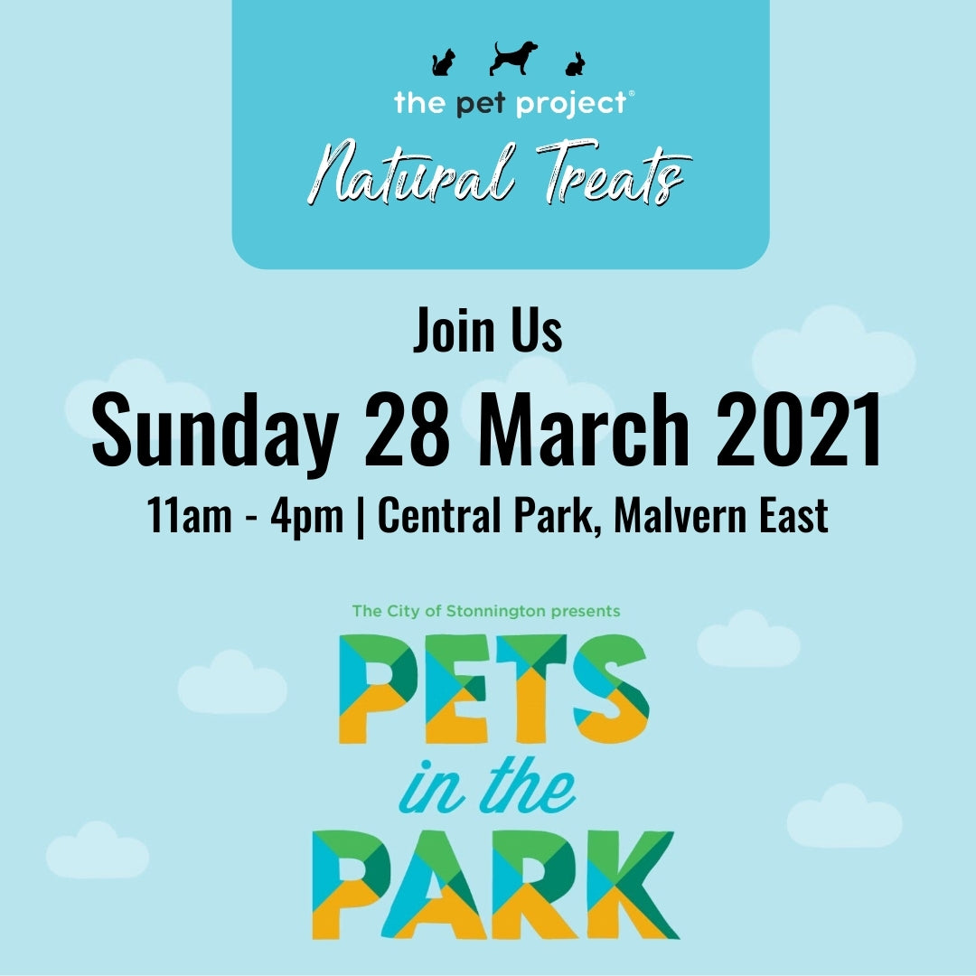 Pets In The Park – The Pet Project